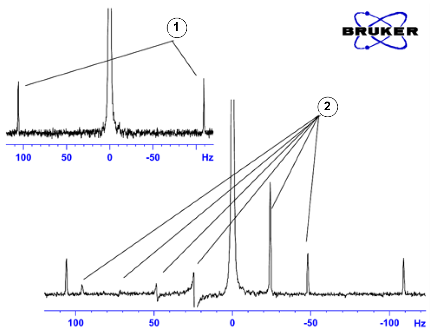 Avance Beginners Guide - Sample Tube